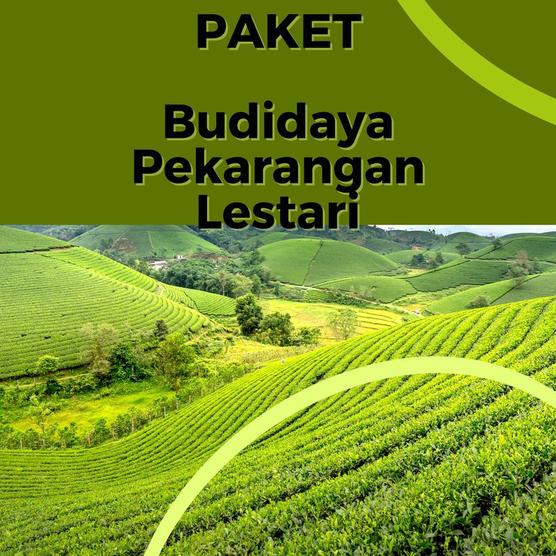 PAKET Budidaya Pekarangan Lestari