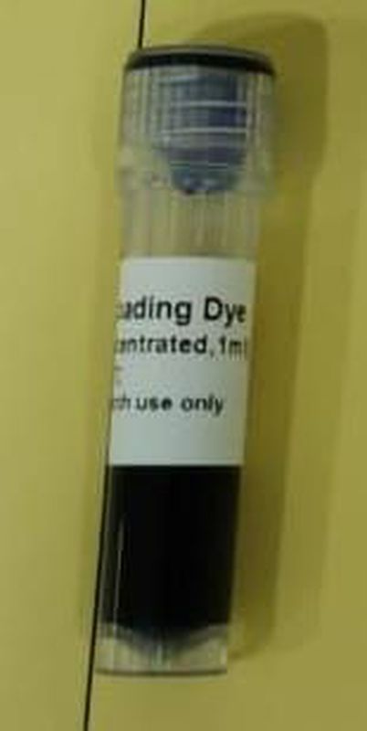Loading Dye (6X), 1 ml (Geneaid)
