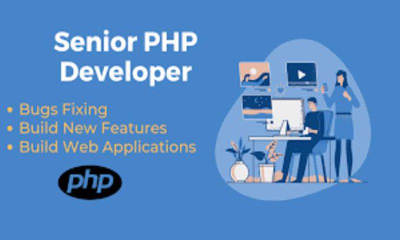 Senior FullStack Developer