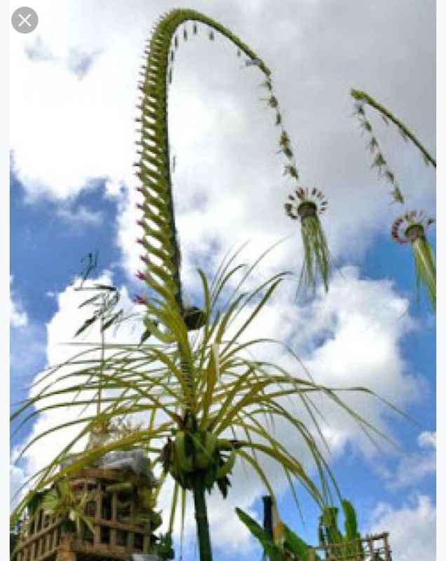 Penjor
