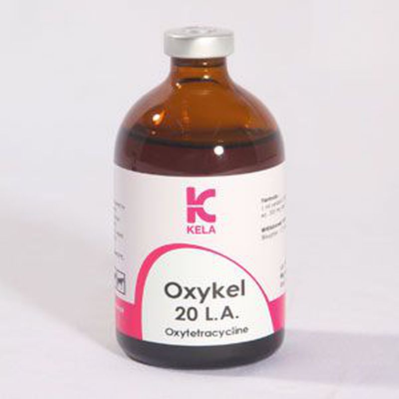 OXYCEL 20 LA 100 ML