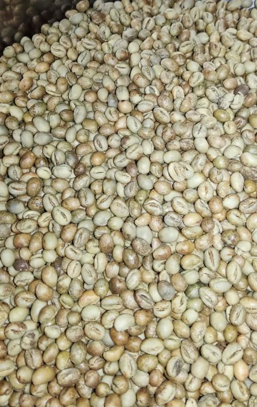 greenbean kopi Robusta lanang natural - Natural Proses