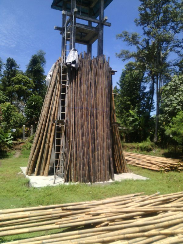 Bambu Wulung/Bambu Hitam