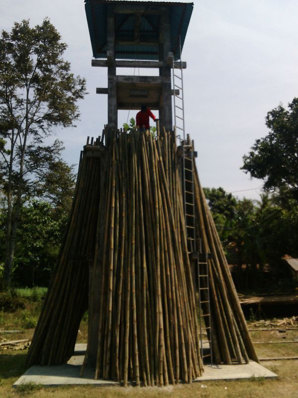 Bambu Apus - Diameter Bambu