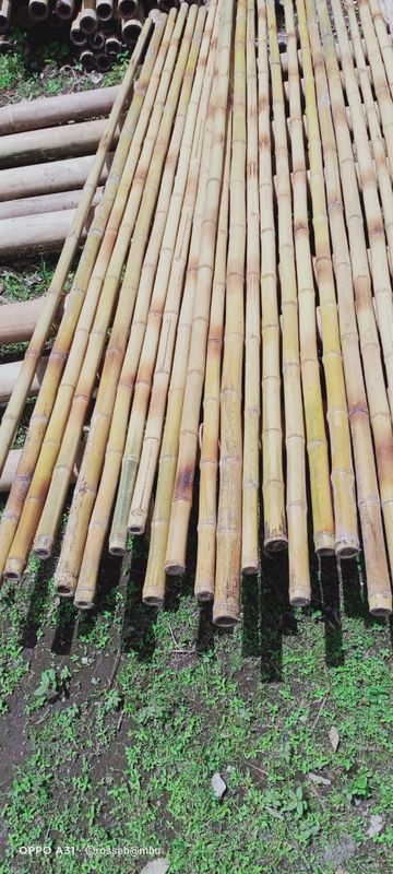 Bambu Cendani - Panjang 1 Meter