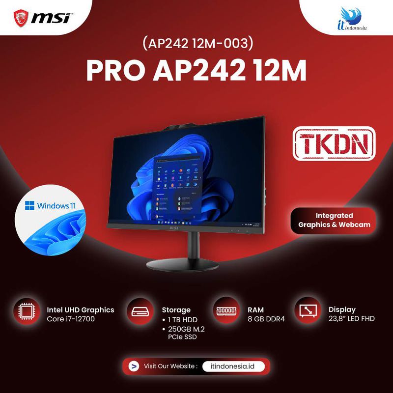 MSI PRO AP242 12M - 003