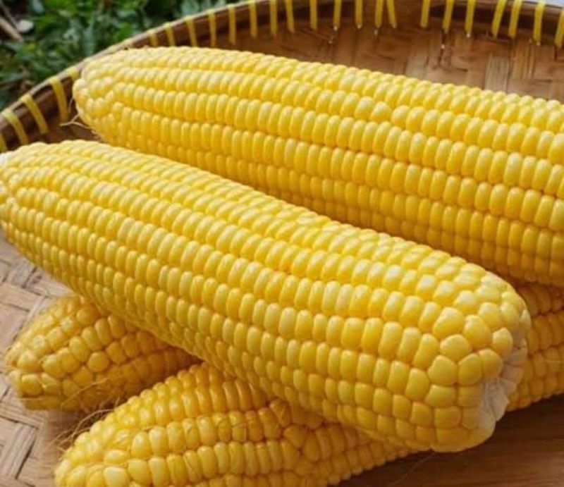 Jagung Manis 500gram