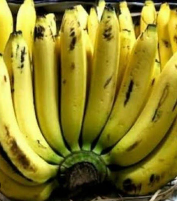 Pisang