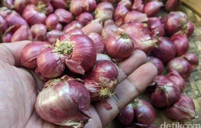 Bawang Merah 0.50kg