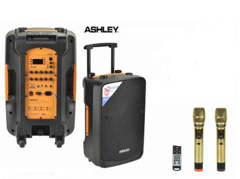 SPEAKER PORTABLE ASHLEY IR 500 + MIC