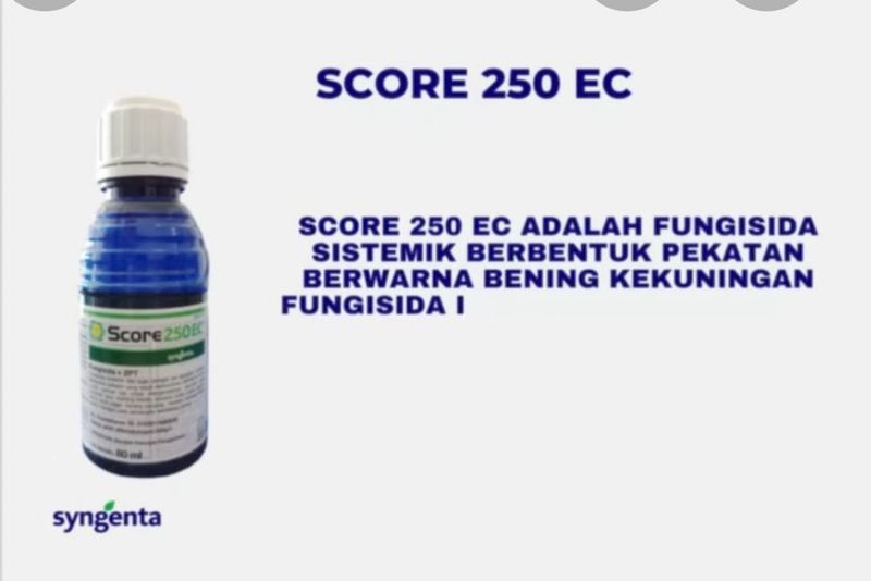 Score 250 ec 250 ml