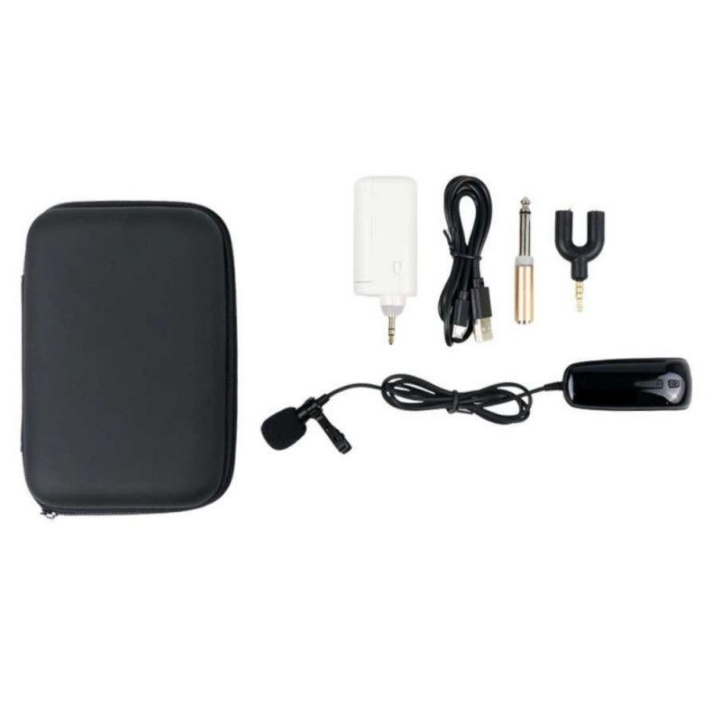 Mic Wireless Clip On 2 Channel