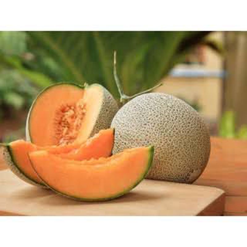 Melon Oranye