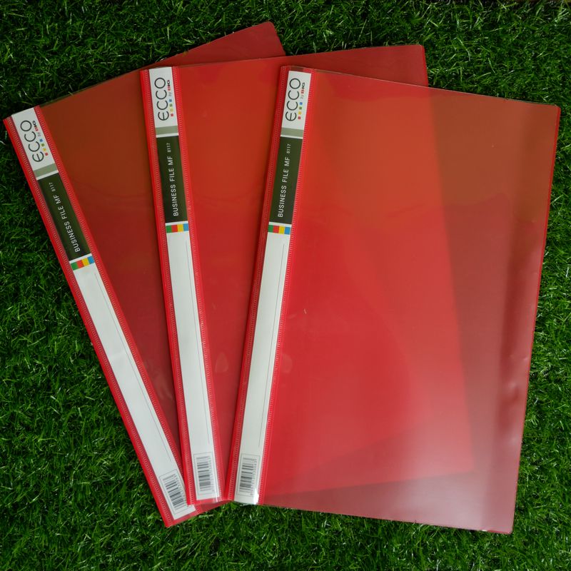 Business File MF 8117 Ecco BIG