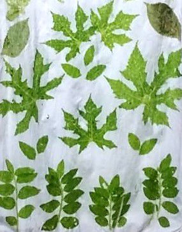 Bahan Praktek Pelatihan (Batik Ecoprint)