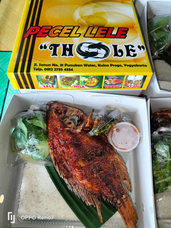 Nasi Box ikan nila bakar