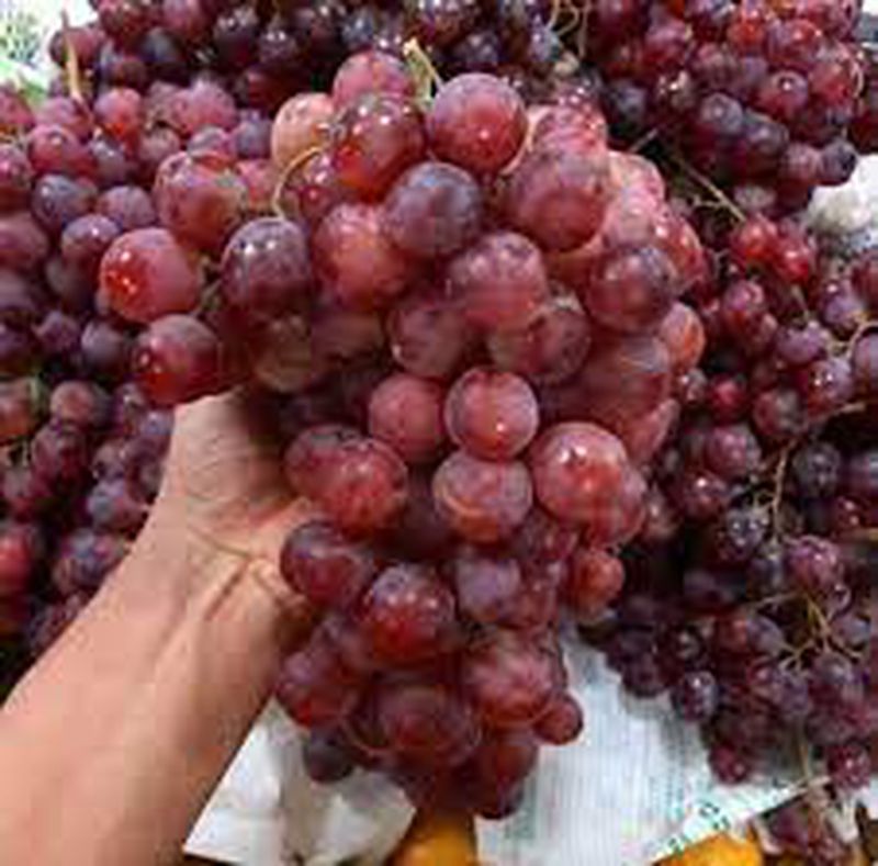Anggur Merah
