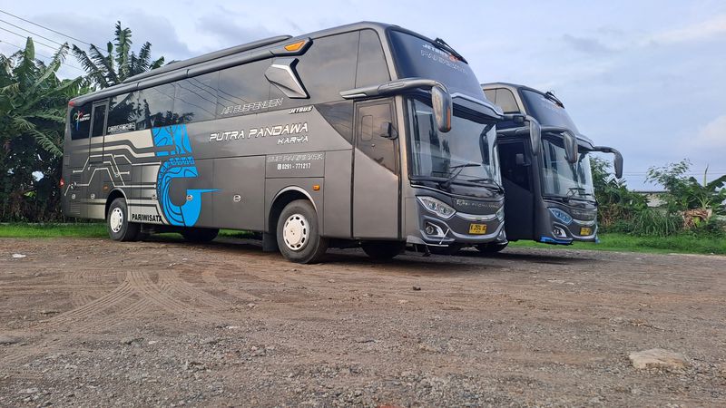 sewa bus pariwisata big bus 50 seat
