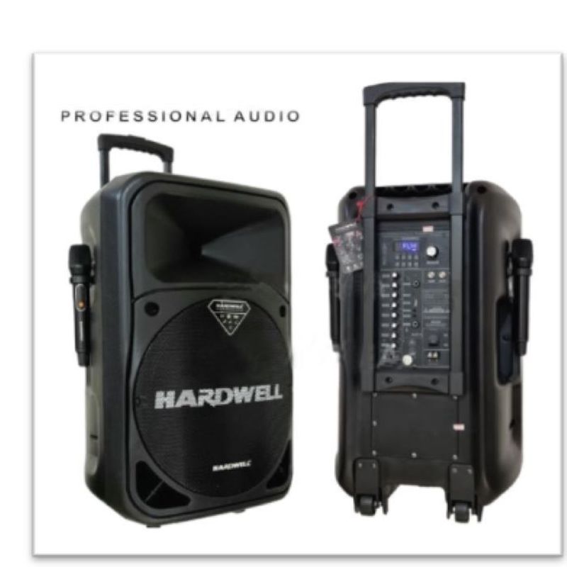 Portable sound system wireless