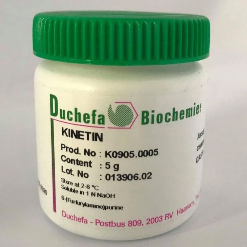 Kinetin (6-Furfurylaminopurine)