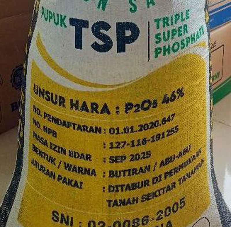Pupuk Triple Super Phosphate (TSP)