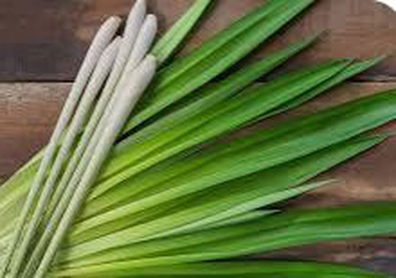 Daun Serai