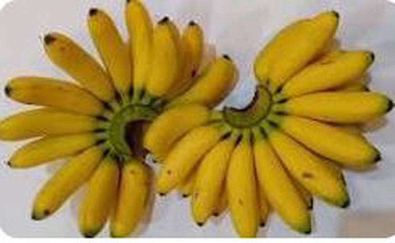 Pisang Mahuli