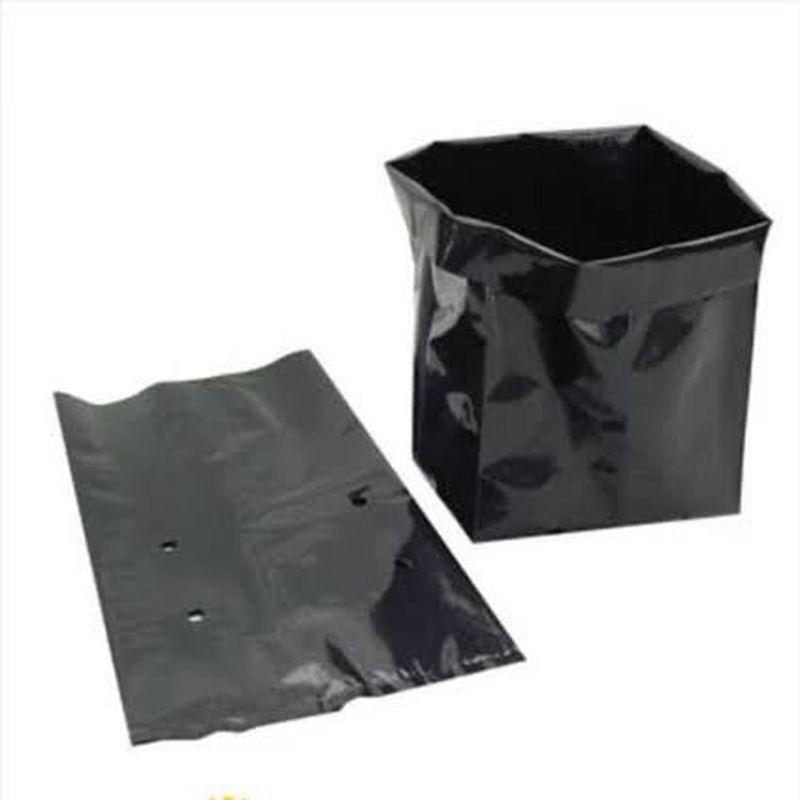 Polybag