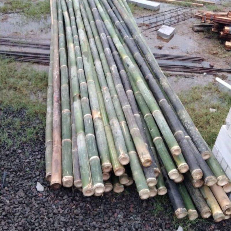 steger bambu bulat 2 - 4