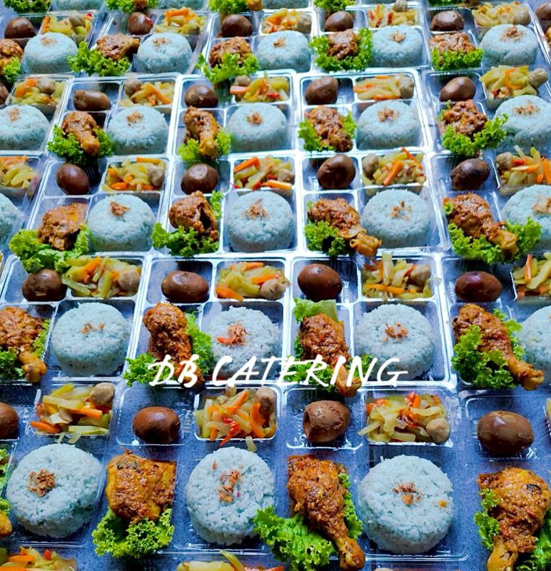 Nasi box 6