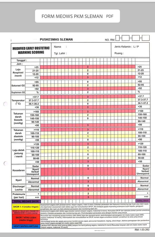 Form MEOWS Pus Sleman
