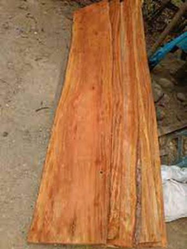 Papan Padung