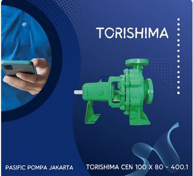 POMPA TORISHIMA CEN 100X80X400 COUPLE MOTOR SIEMENS 22KW 30HP 380V