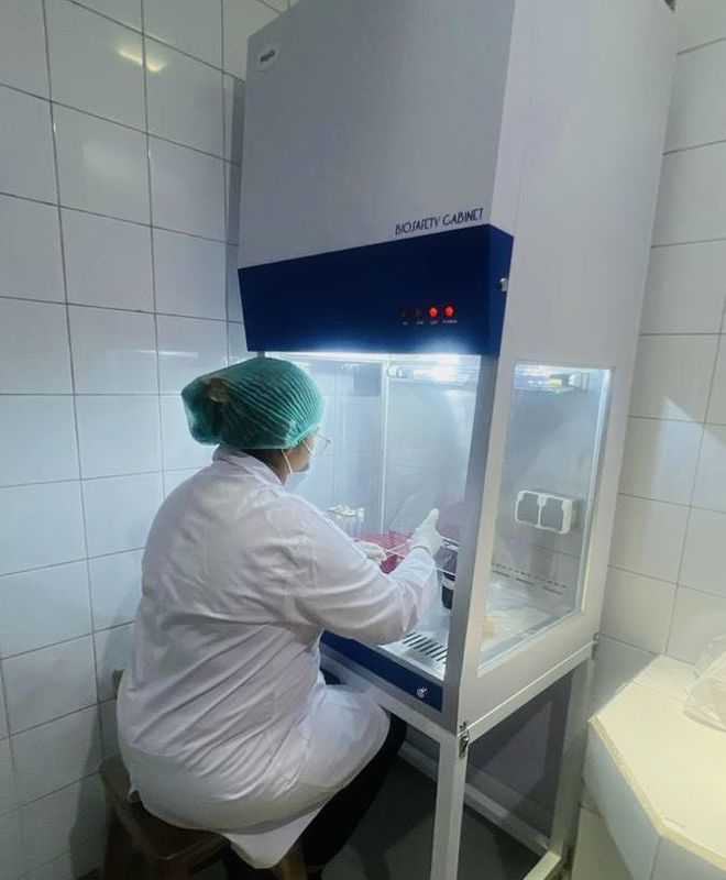 Pemeriksaan Rectal Swab