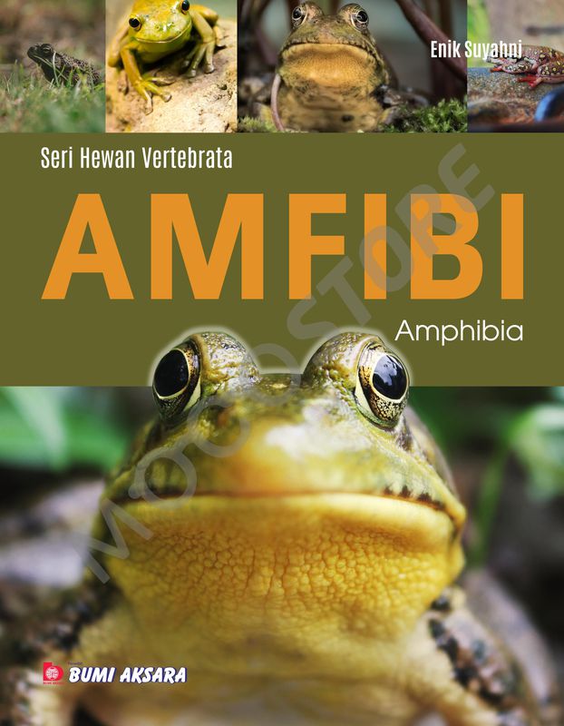 EBOOK - Amfibi (Amphibia)