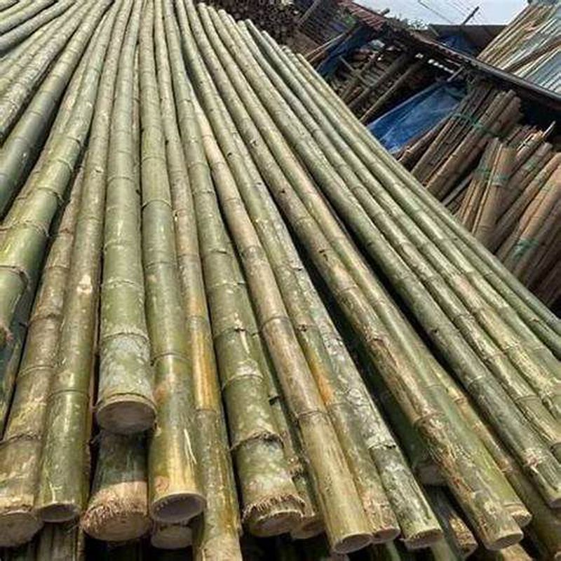 Bambu Ø 10 cm panjang 400 cm