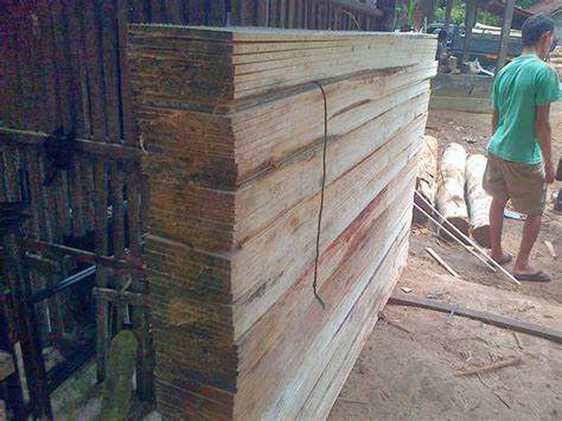 Kayu Sengon (papan)