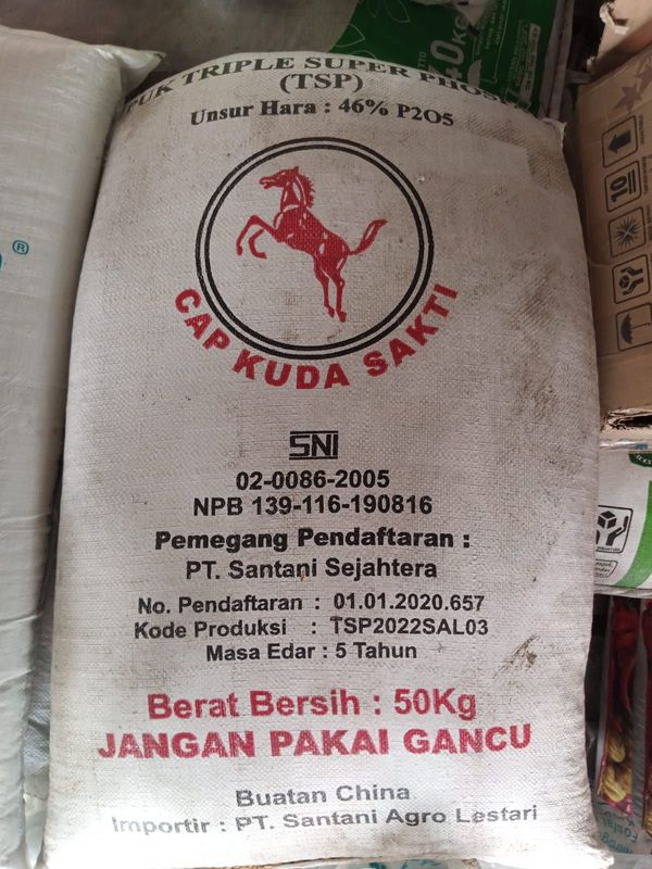 Pupuk TSP