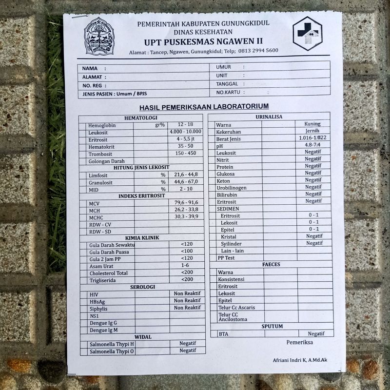 Blangko Hasil Pemeriksaan Lab