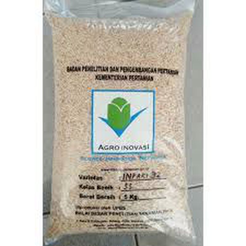 Benih Padi BD Label Putih