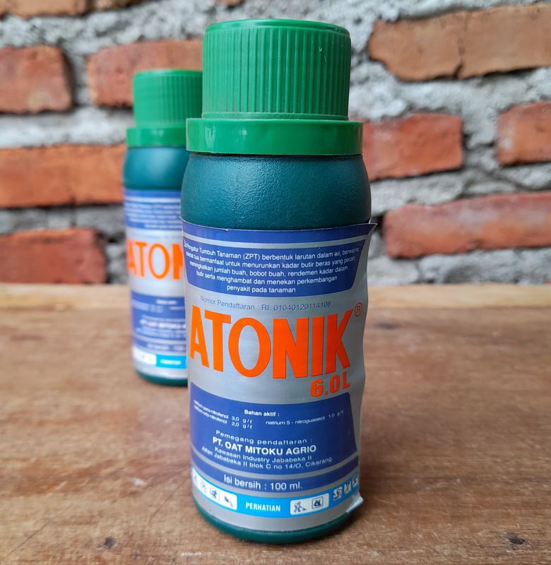 Athonik