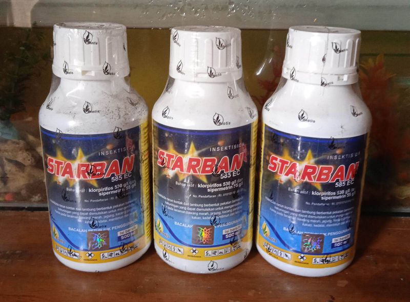 Insektisida Starban