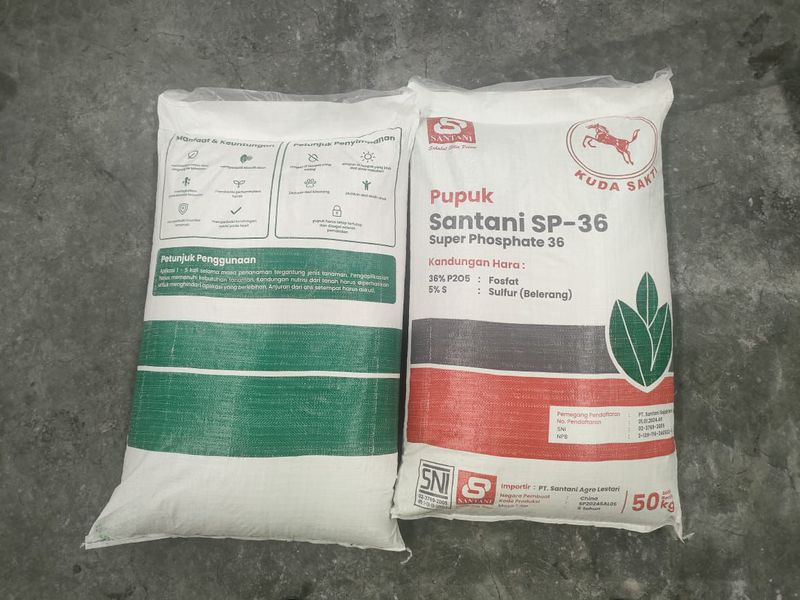 Pupuk SP-36