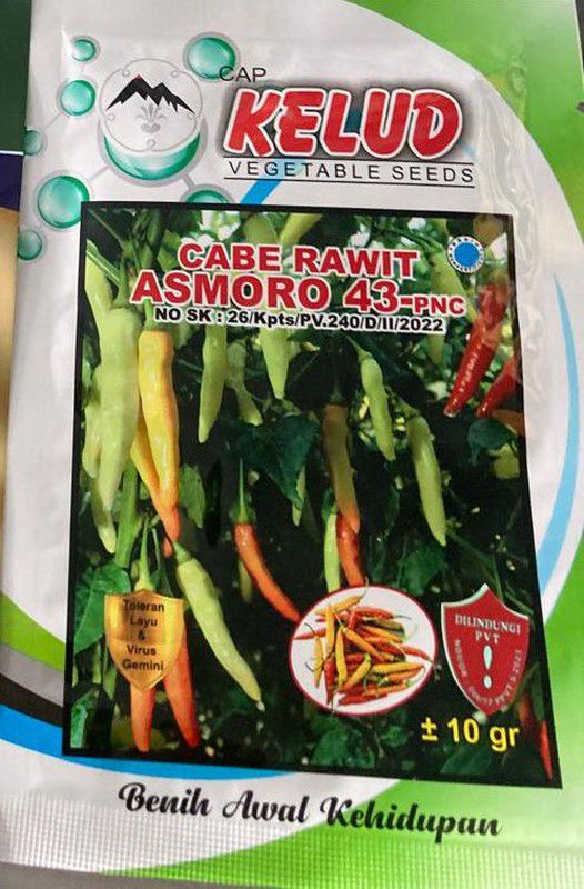 BENIH CABE RAWIT ASMORO 43-PNC CV TUNAS TUNAS MUDA