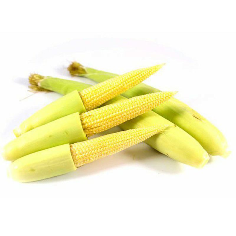BABY CORN /ANAK JAGUNG