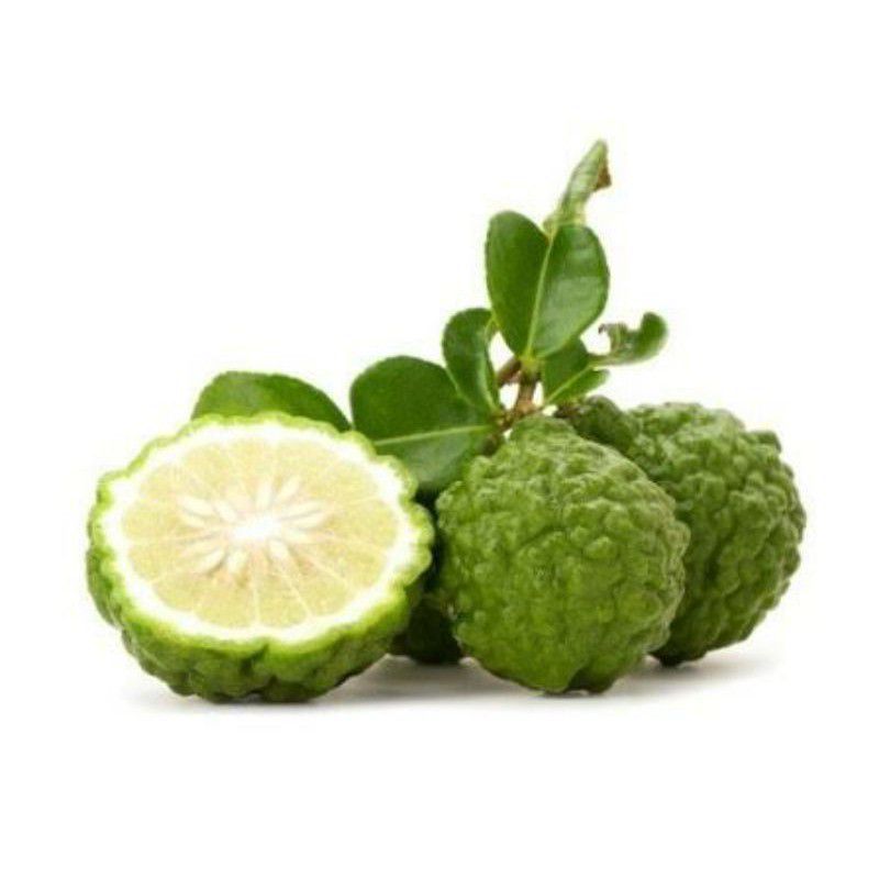 LIMAU KUIT FRESH