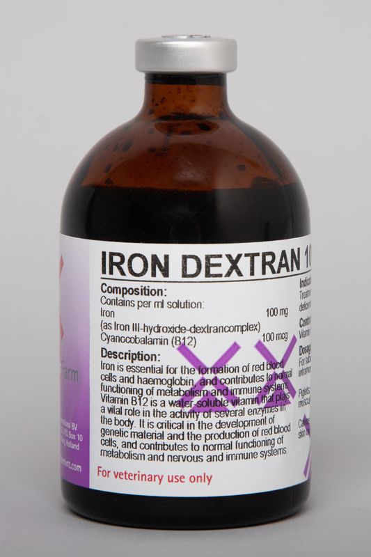 Anti Anemia Obat Penambah Darah (Iron Dextran 100 ml)