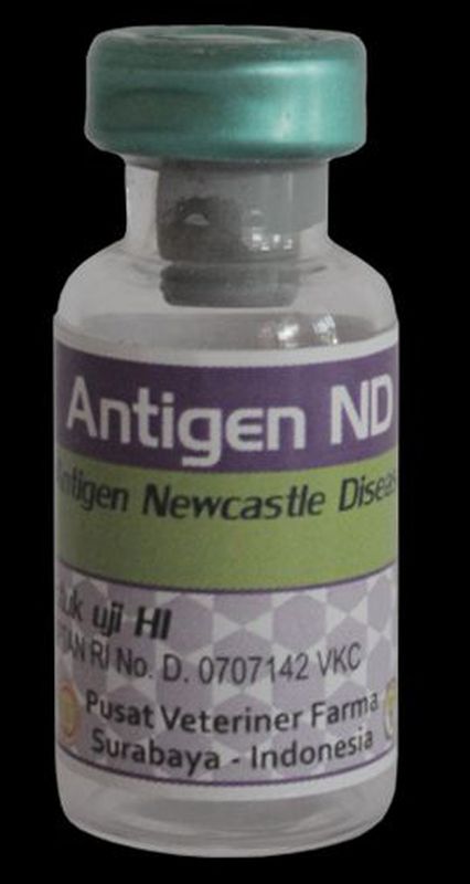 Antigen ND 2ml Pusvetma