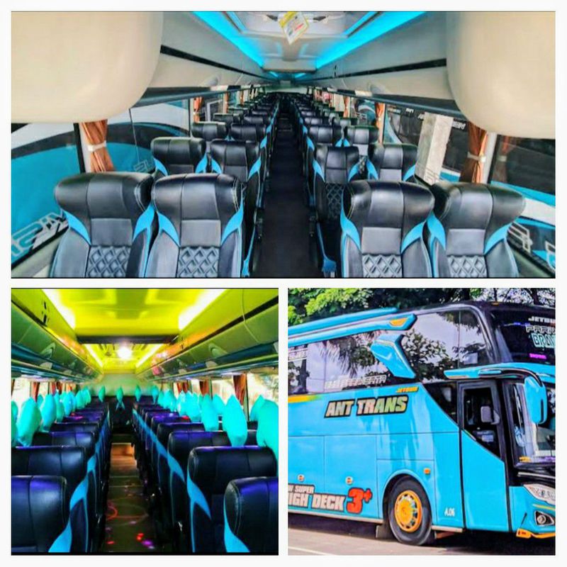sewa Big Bus Pariwisata