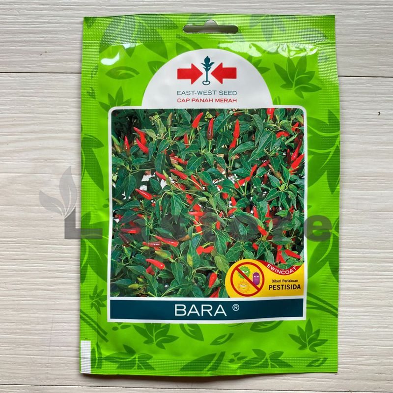 Benih Cabe Varietas Bara